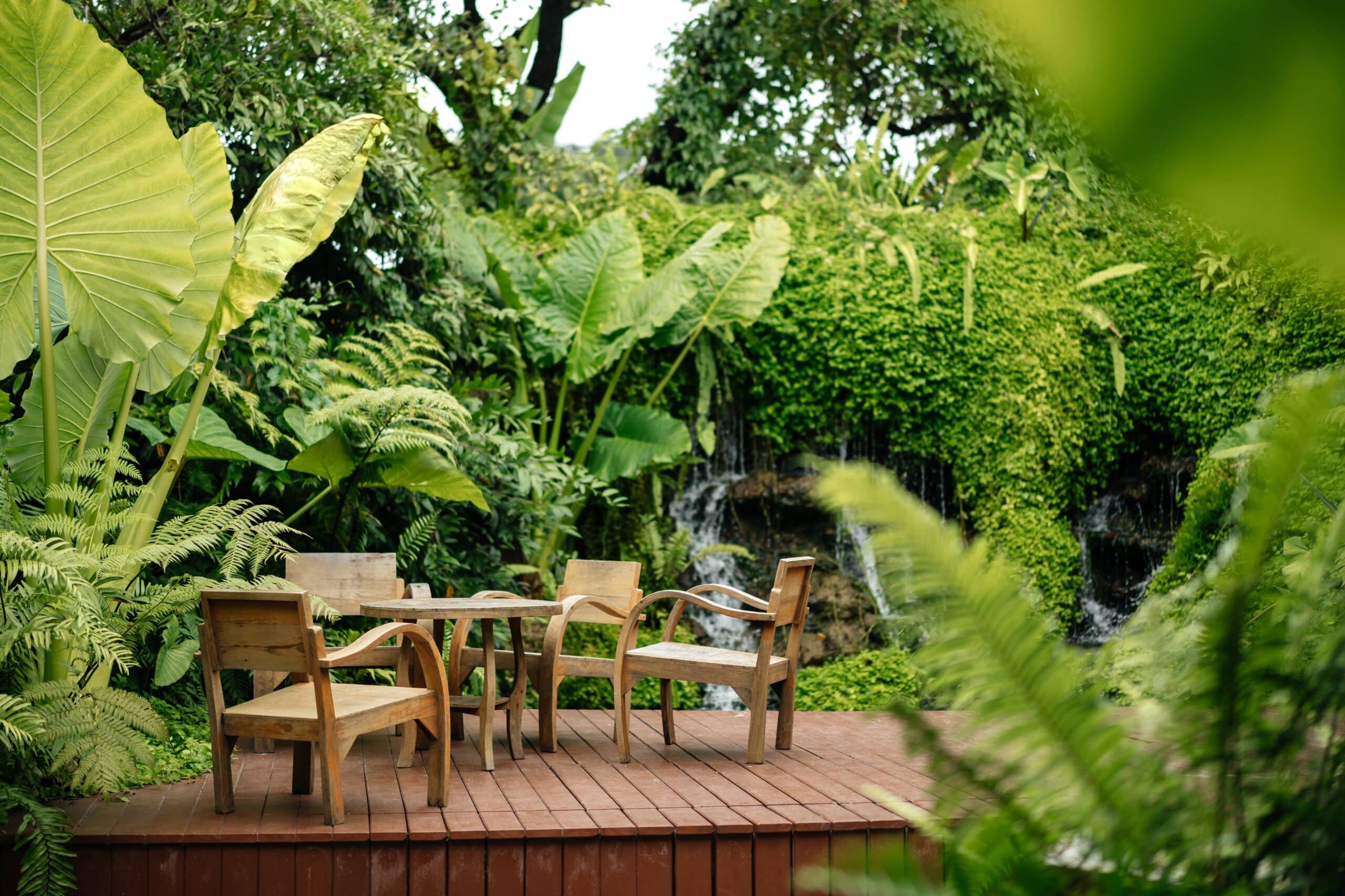 Bring The Tropics To Your Landscape Design - FSI Landscape Supply