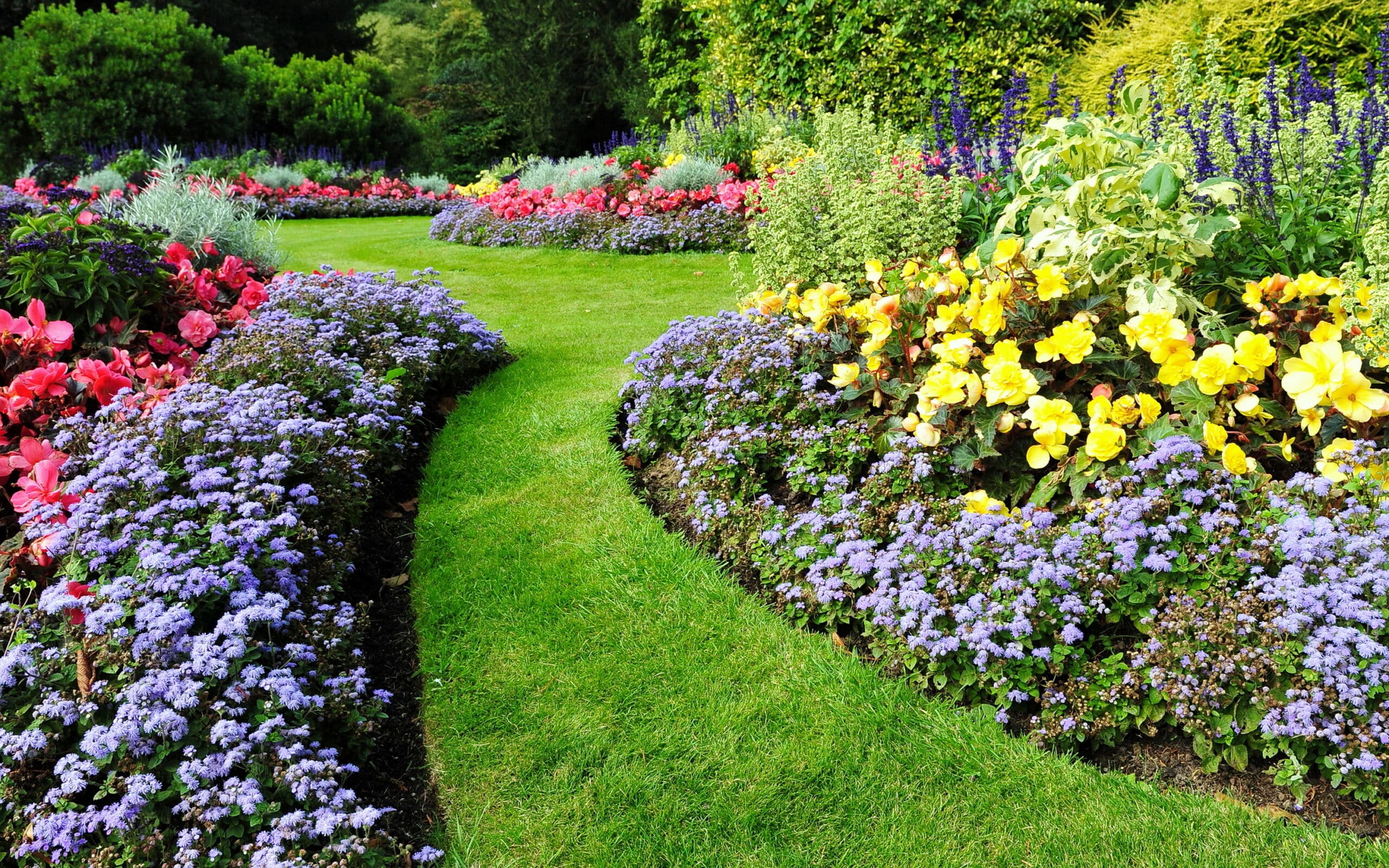 Happy Plant A Flower Day! - FSI Landscape Supply