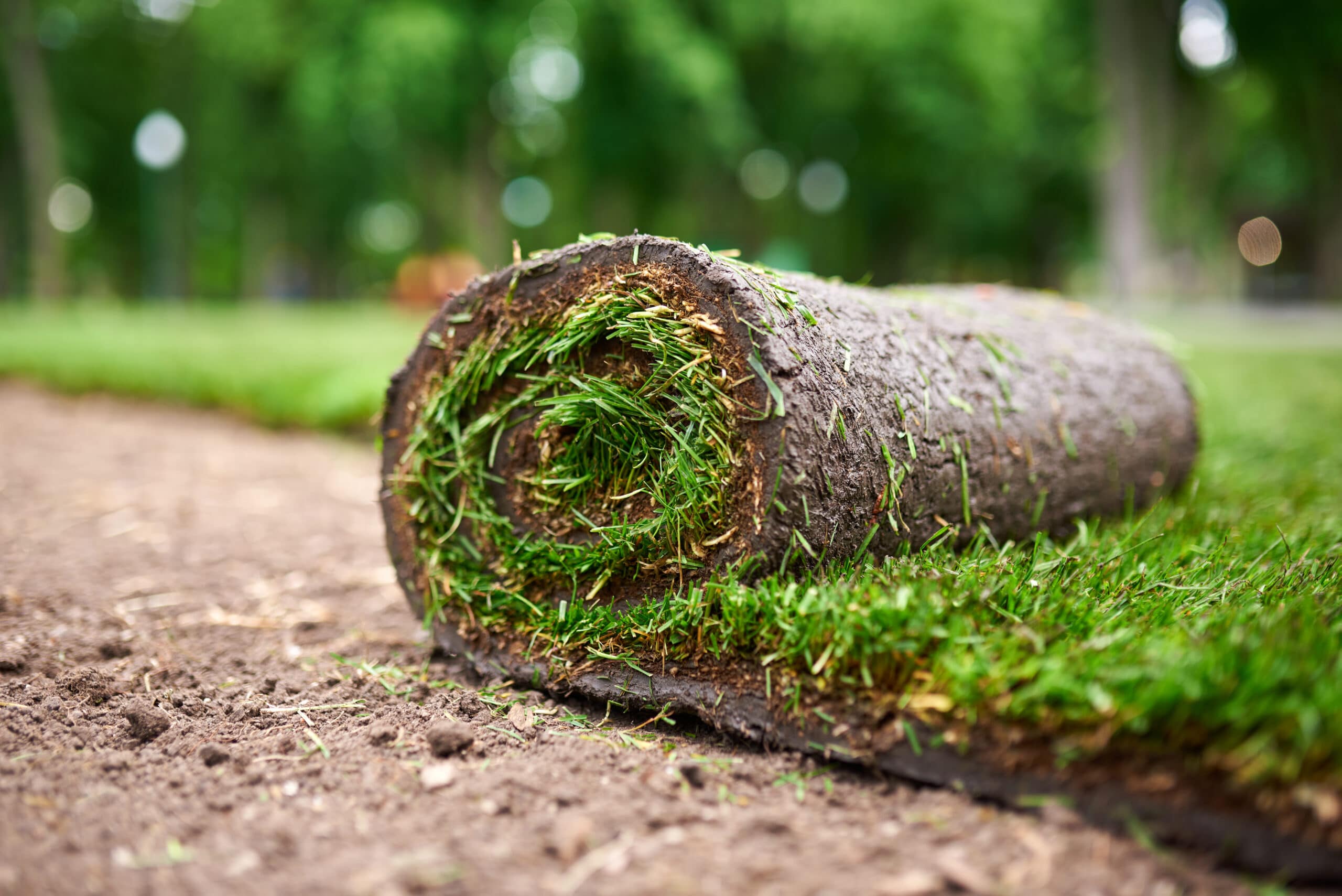 Top tips on choosing and laying sod - FSI Landscape Supply