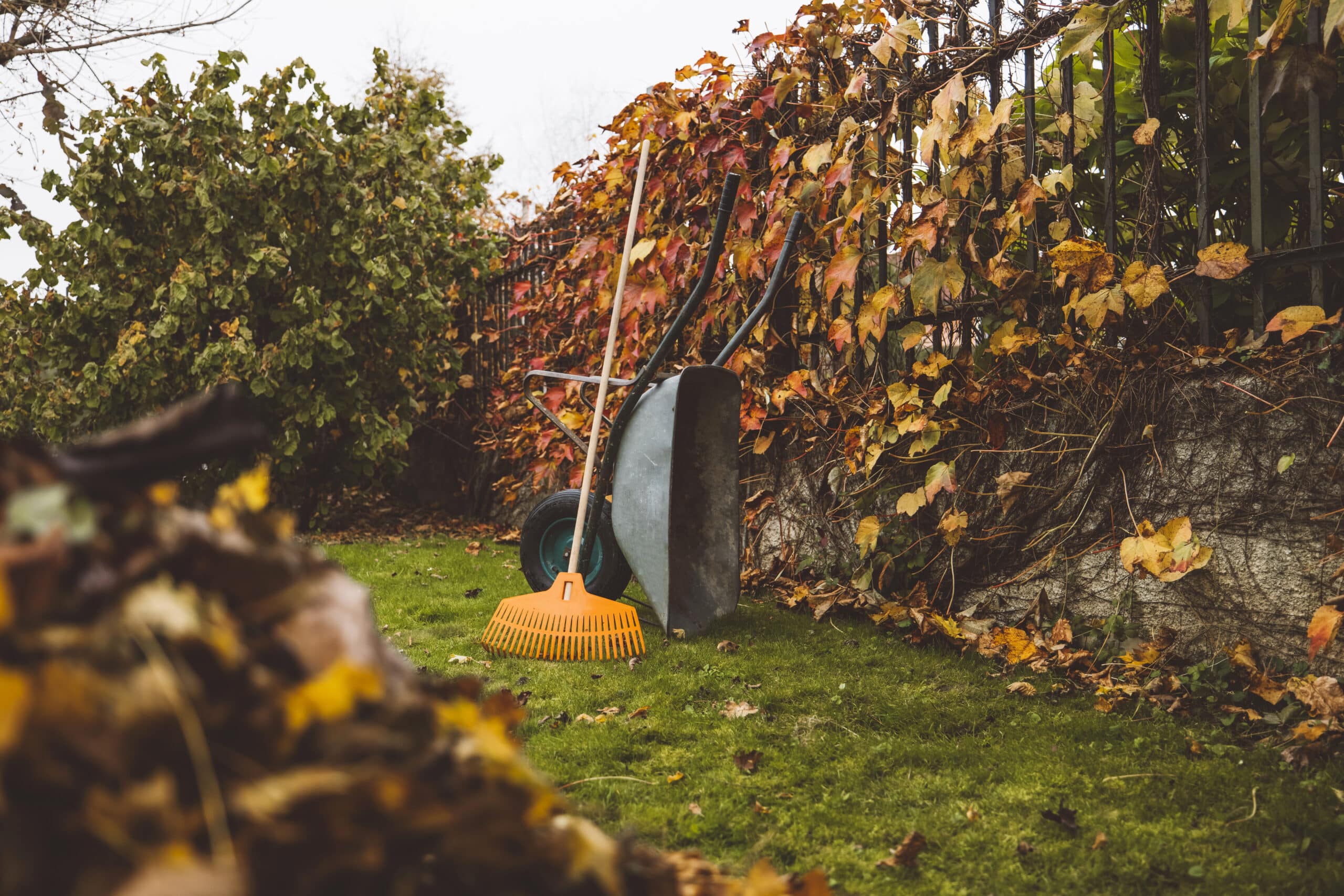 Your Guide To October Gardening - FSI Landscape Supply