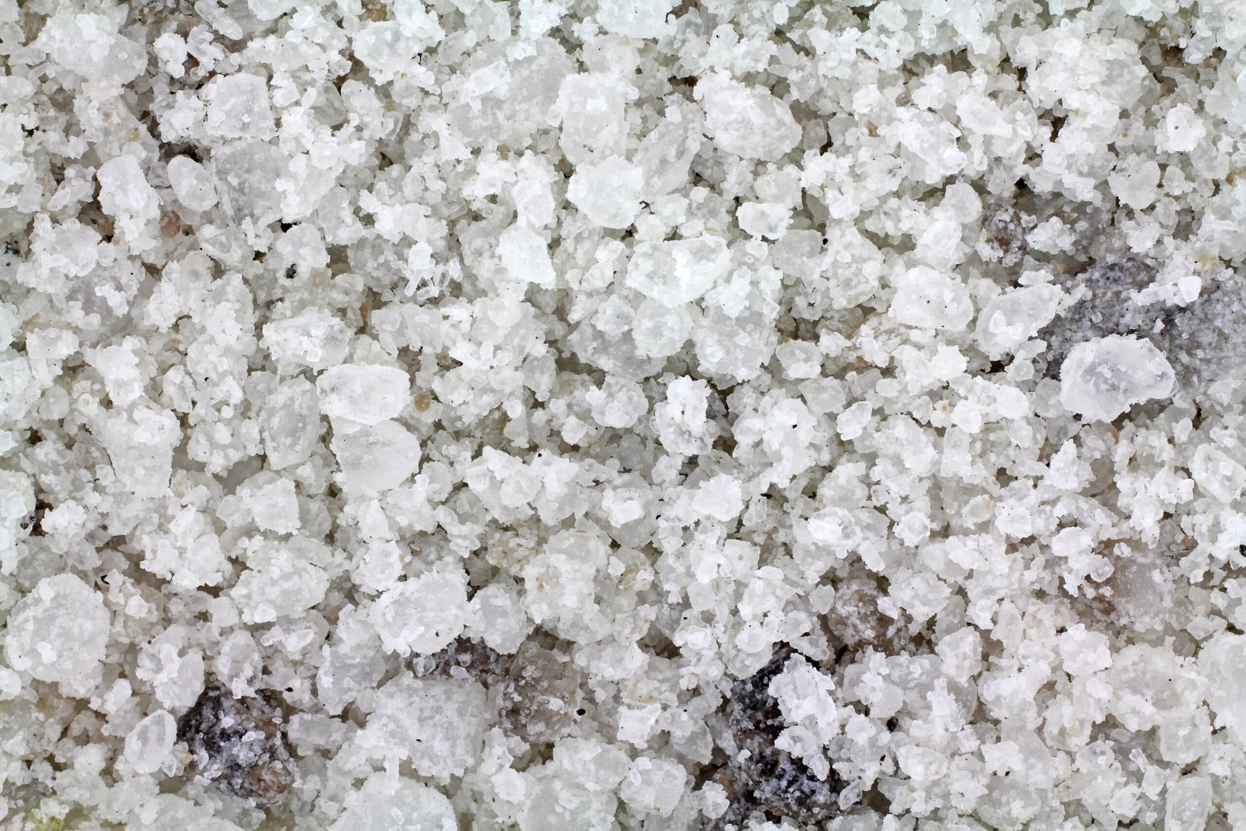 Left-over Road Salt? No Problem! - FSI Landscape Supply
